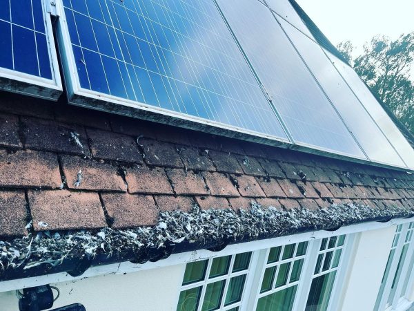 Solar Panel Proofing - Summit Pest Control
